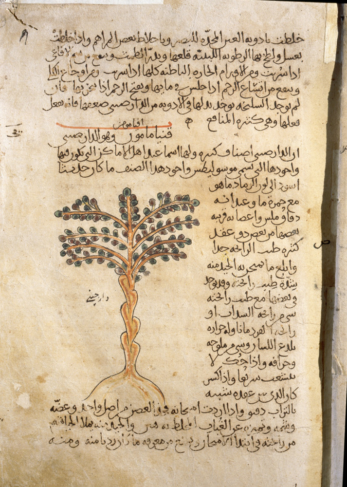 A taste of power: how the spice trade changed the world