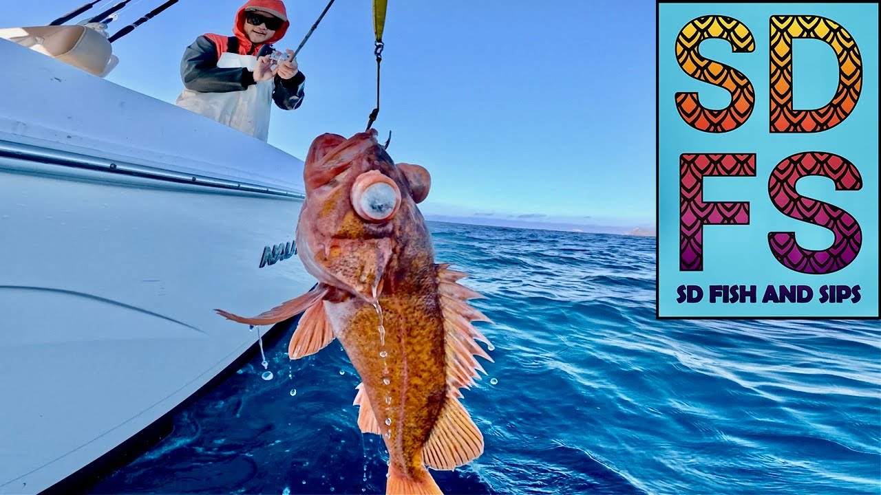 Rockfish Battle at Coronado Islands | Slow Pitch Jigging Action