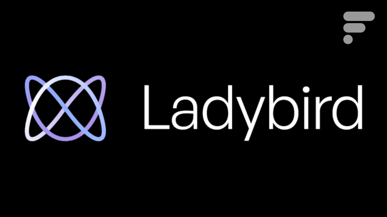 C’est quoi Ladybird, ce futur navigateur qui défie Chrome et Firefox en repartant aux sources