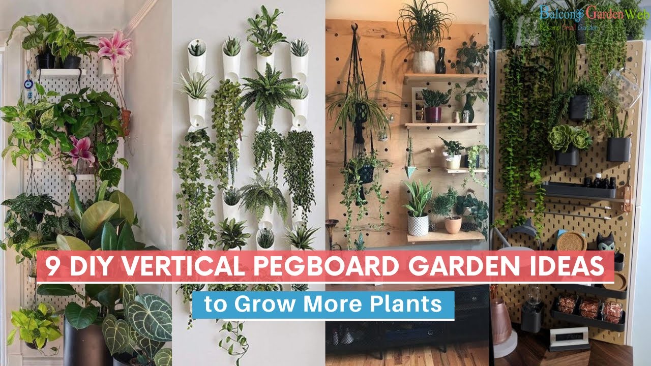 Grow more plants using vertical pegboard gardens