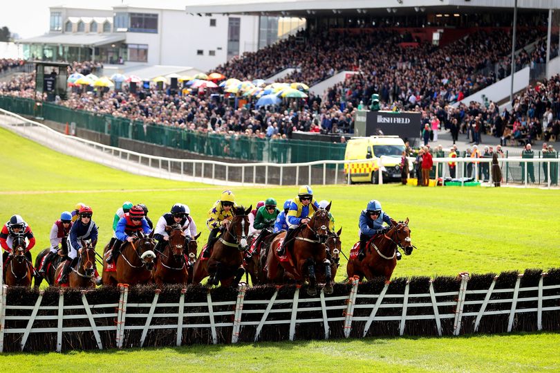 Punchestown Festival 2025 day 1 full race card and tips - list of ...