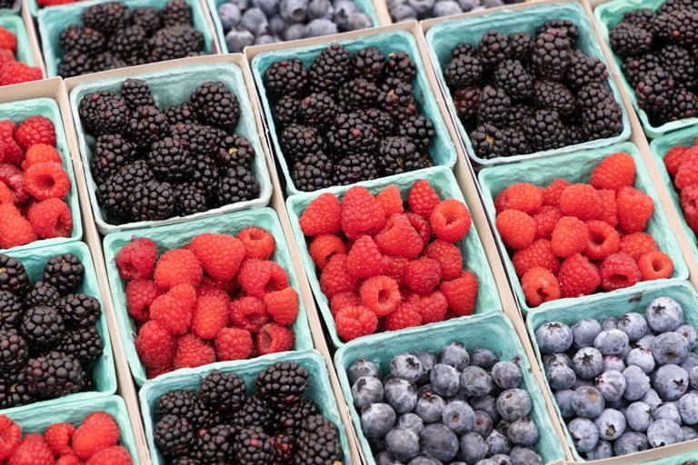 Ce fruit rouge de saison surgelé est encore plus contaminé par les ...