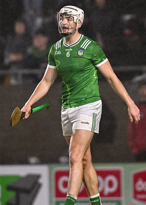 Hurling star suitable for community service and avoids prison