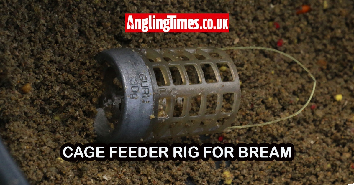 Cage feeder rig for bream fishing