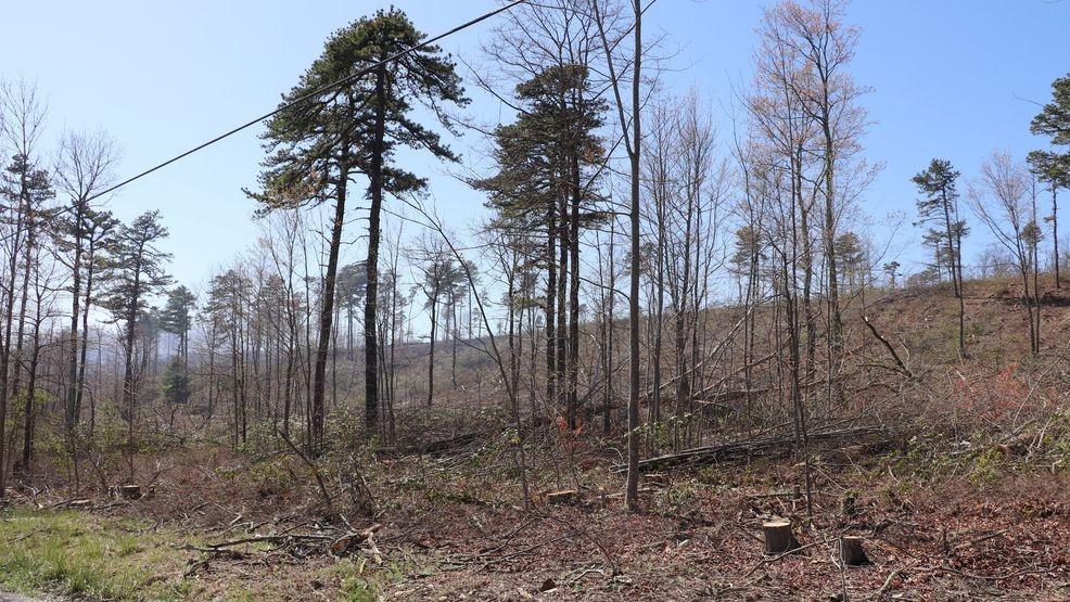 Fire danger remains high as crews make progress combatting Michaux ...