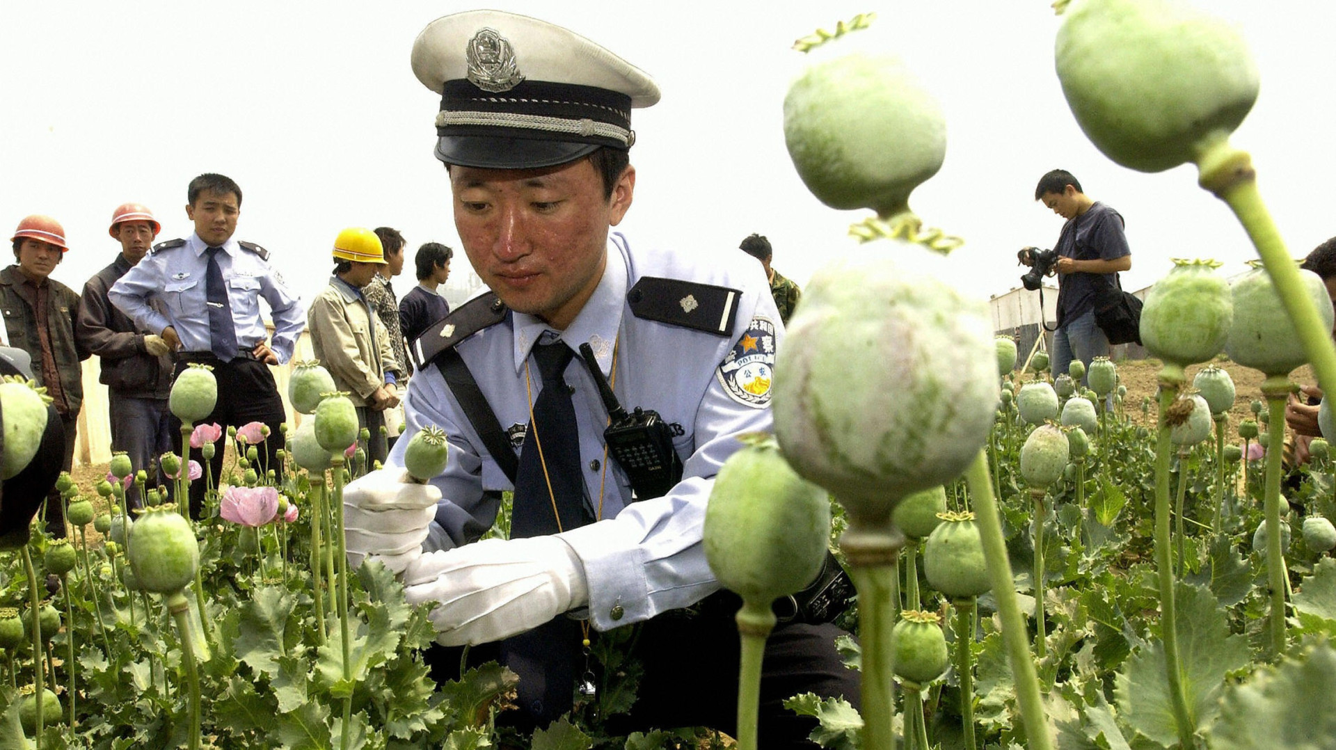 The Opium Wars that devastated China
