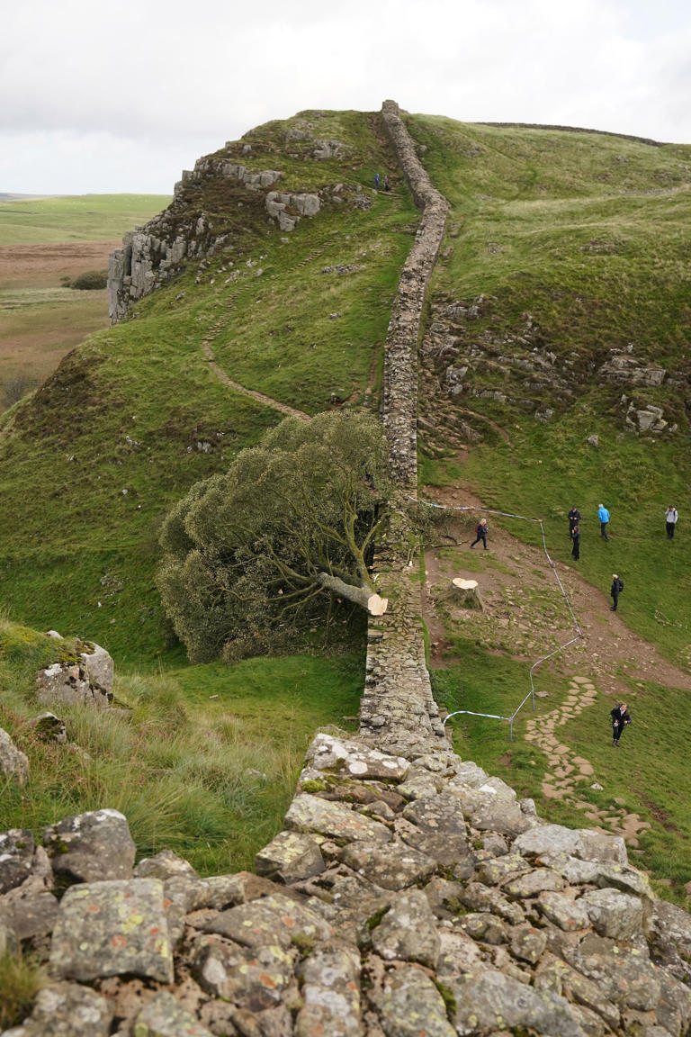 Sycamore Gap trial live: Friends filmed themselves chopping down iconic ...
