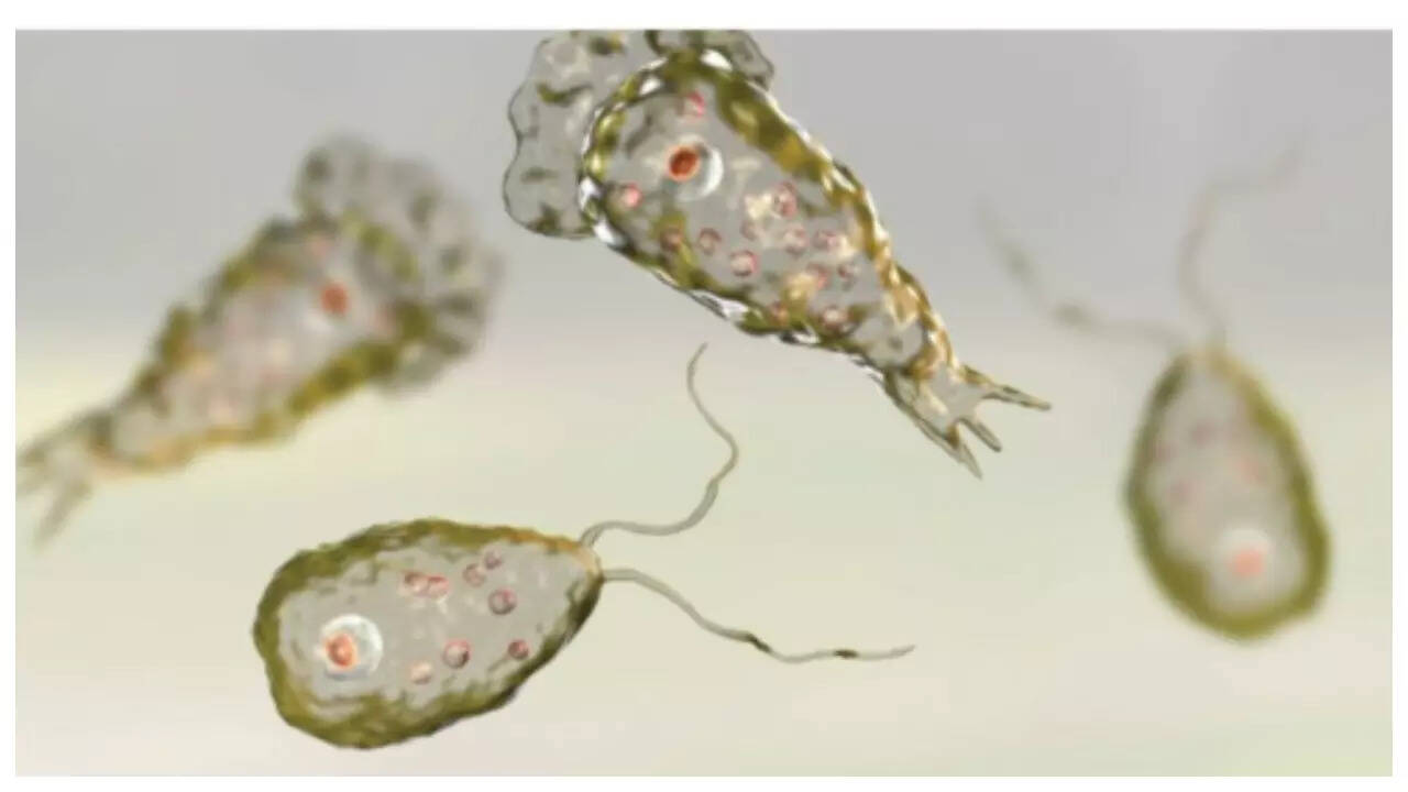 16-month-old baby boy dies after visiting the water park. Everything ...