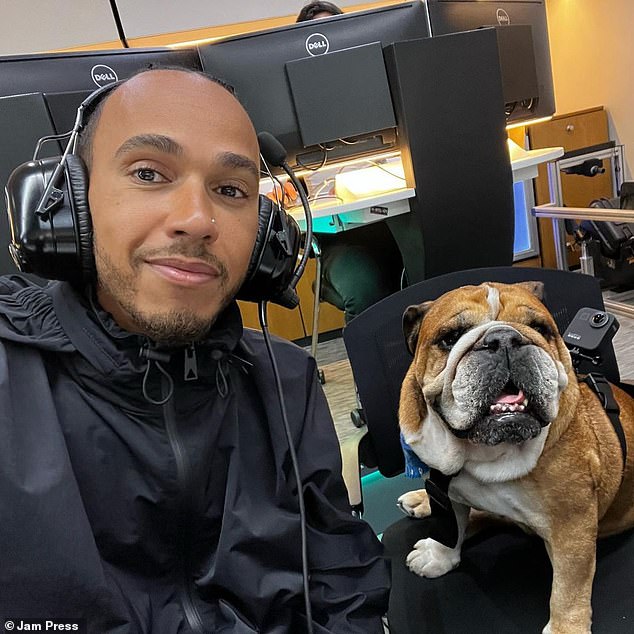 Dog trainer provides health update on Lewis Hamilton's beloved pet ...