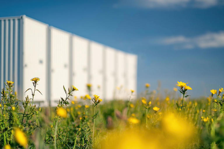 50-megawatt battery energy storage system to be built next to Scottish ...