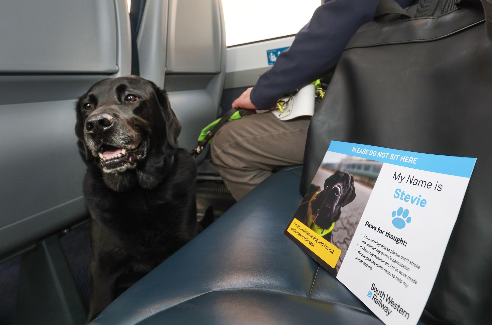 Paws for Thought: South Western Railway launches new ‘tickets’ allowing ...