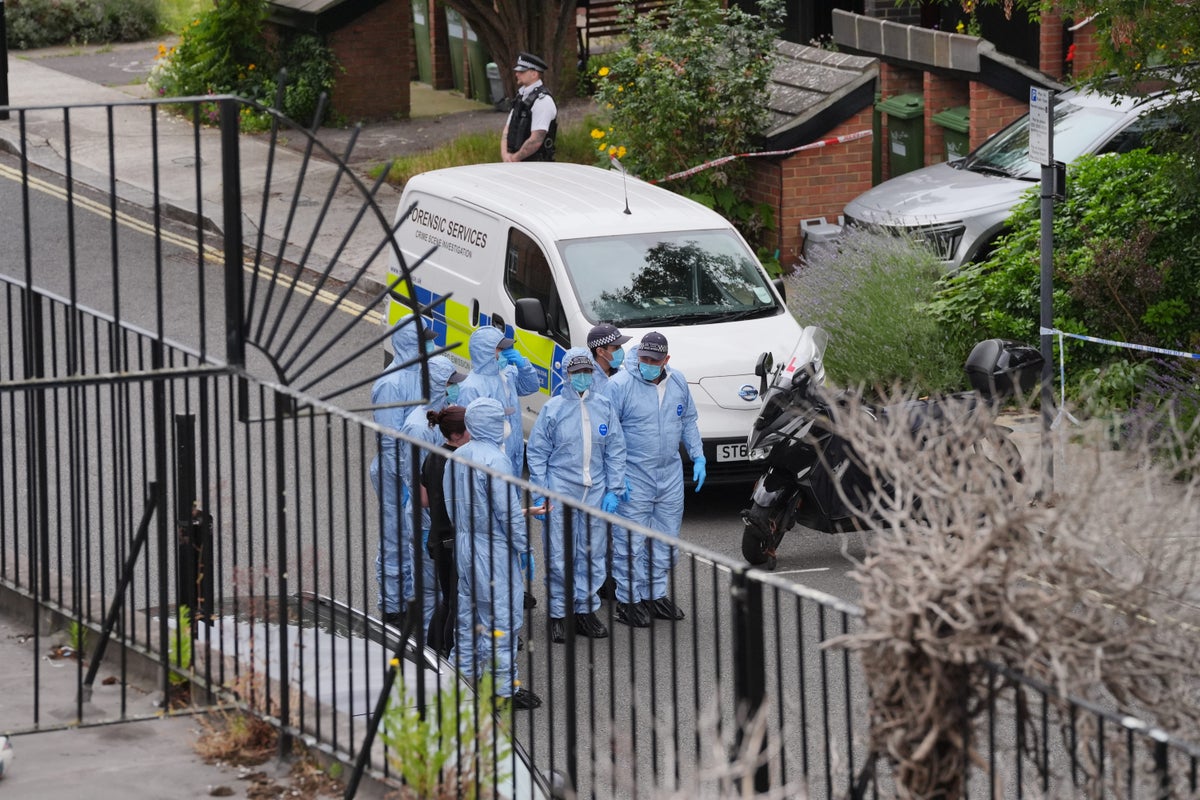 Man accused of two suitcase murders admits manslaughter of one victim