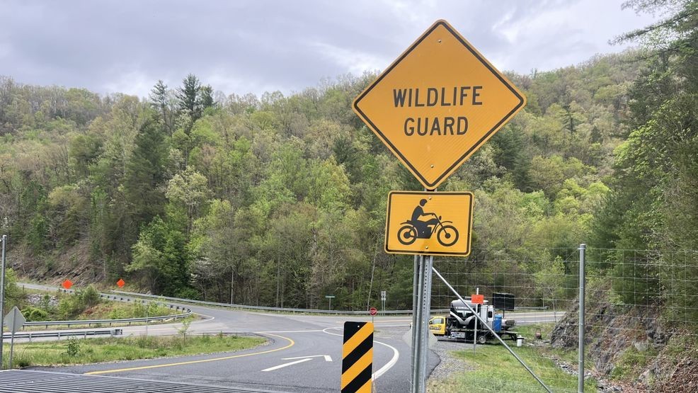 I-40 wildlife guards offer safe passage for bears, prevent collisions