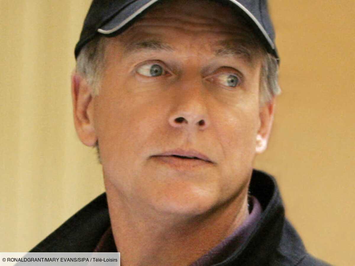 NCIS : On sait enfin pourquoi Gibbs n'a jamais parlé de Lala, son ...