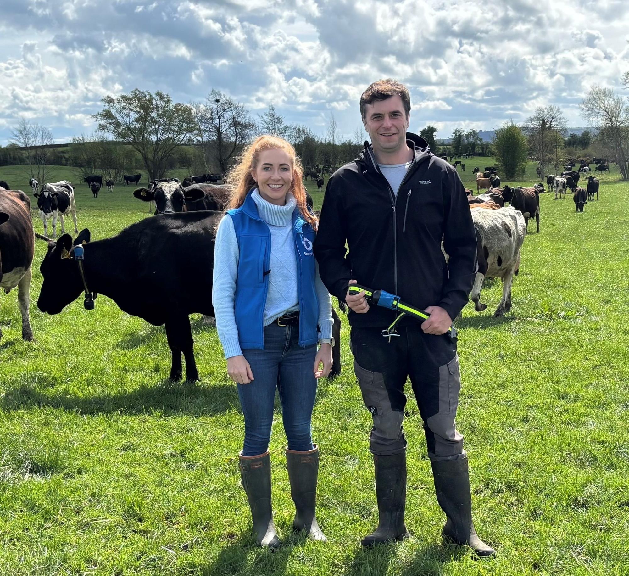 MSD Animal Health’s 300,000th SenseHub collar on Irish cows