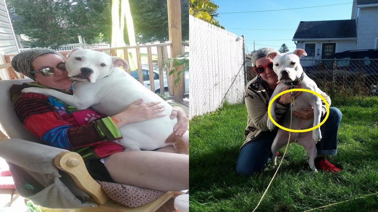She Adopted A Dog In Need, But His Odor Led Her To Call The Police
