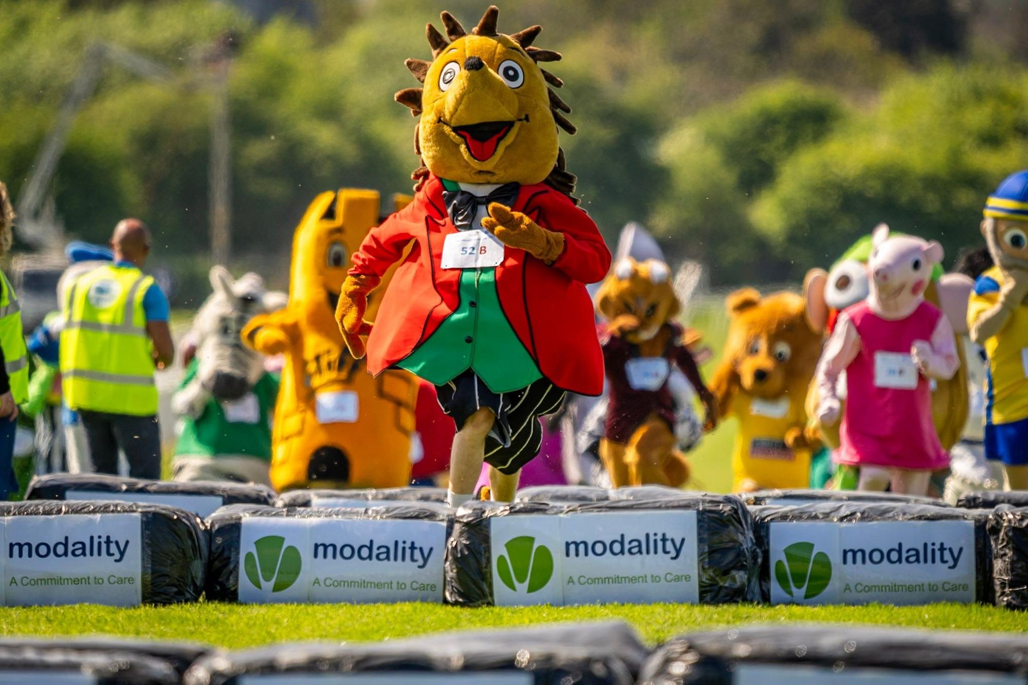 ‘Paws and applause’ as mascots race to victory for Sue Ryder