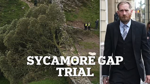 Sycamore Gap tree felling suspects arrive at court