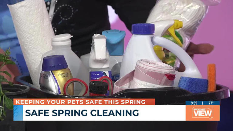 Spring tips to keep your pet healthy and happy