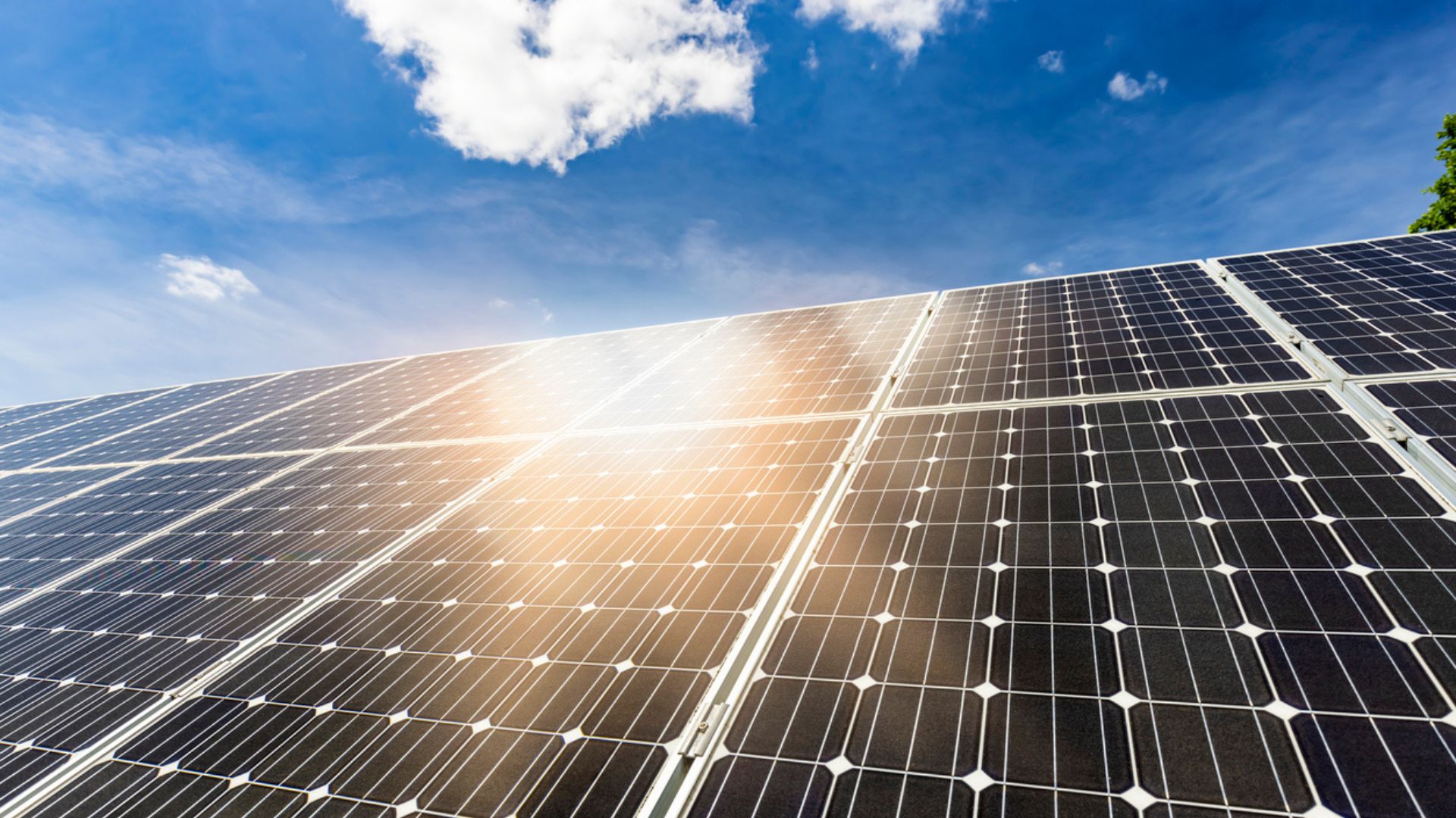 Organic solar cells record highest-ever efficiency at 8.7%, double the ...