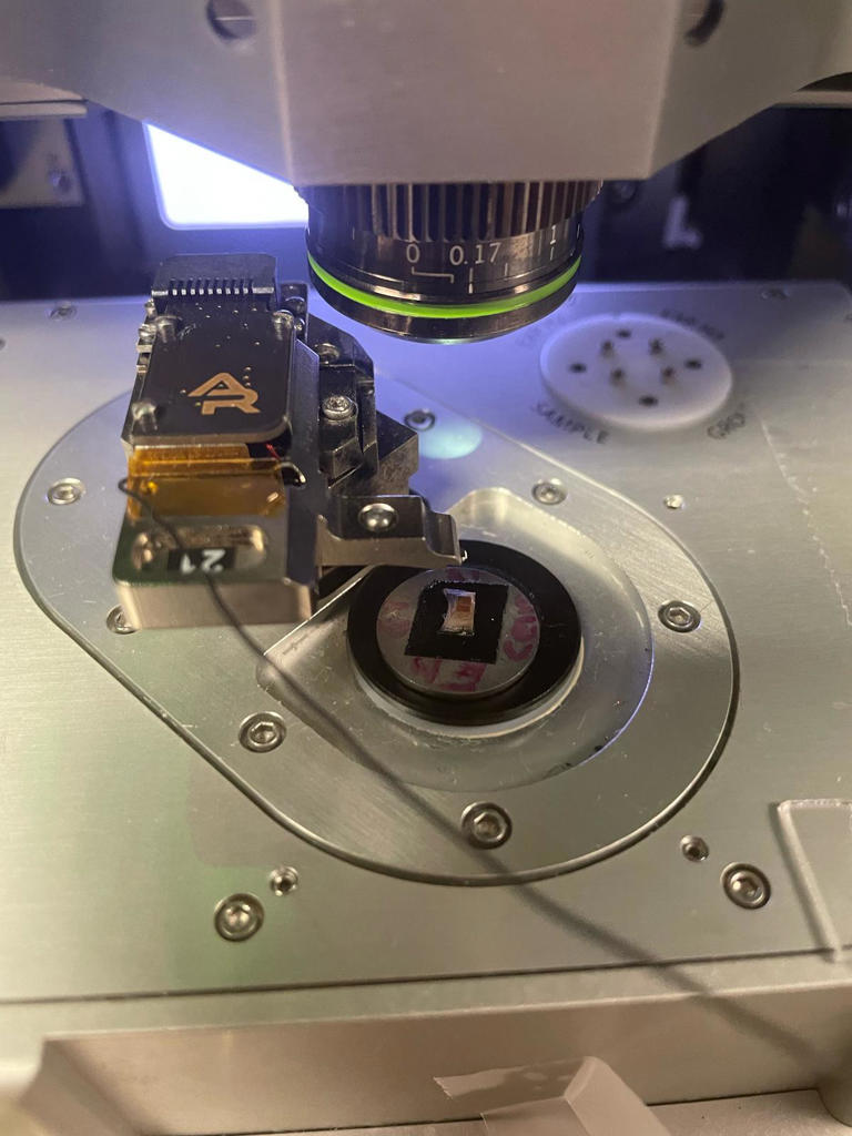 The Future Of Construction? Scientists Create Iron-Fortified Wood That ...