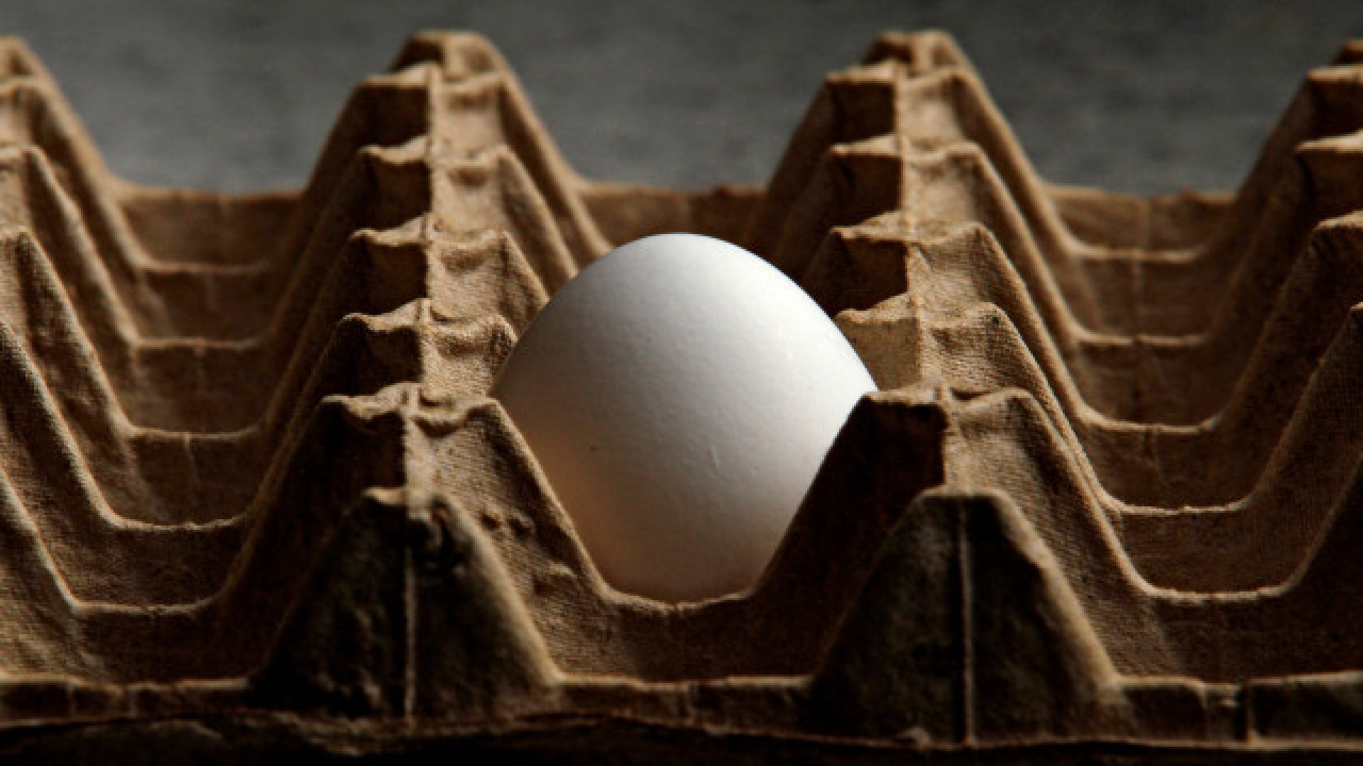 What you need to know about the egg shortage in America