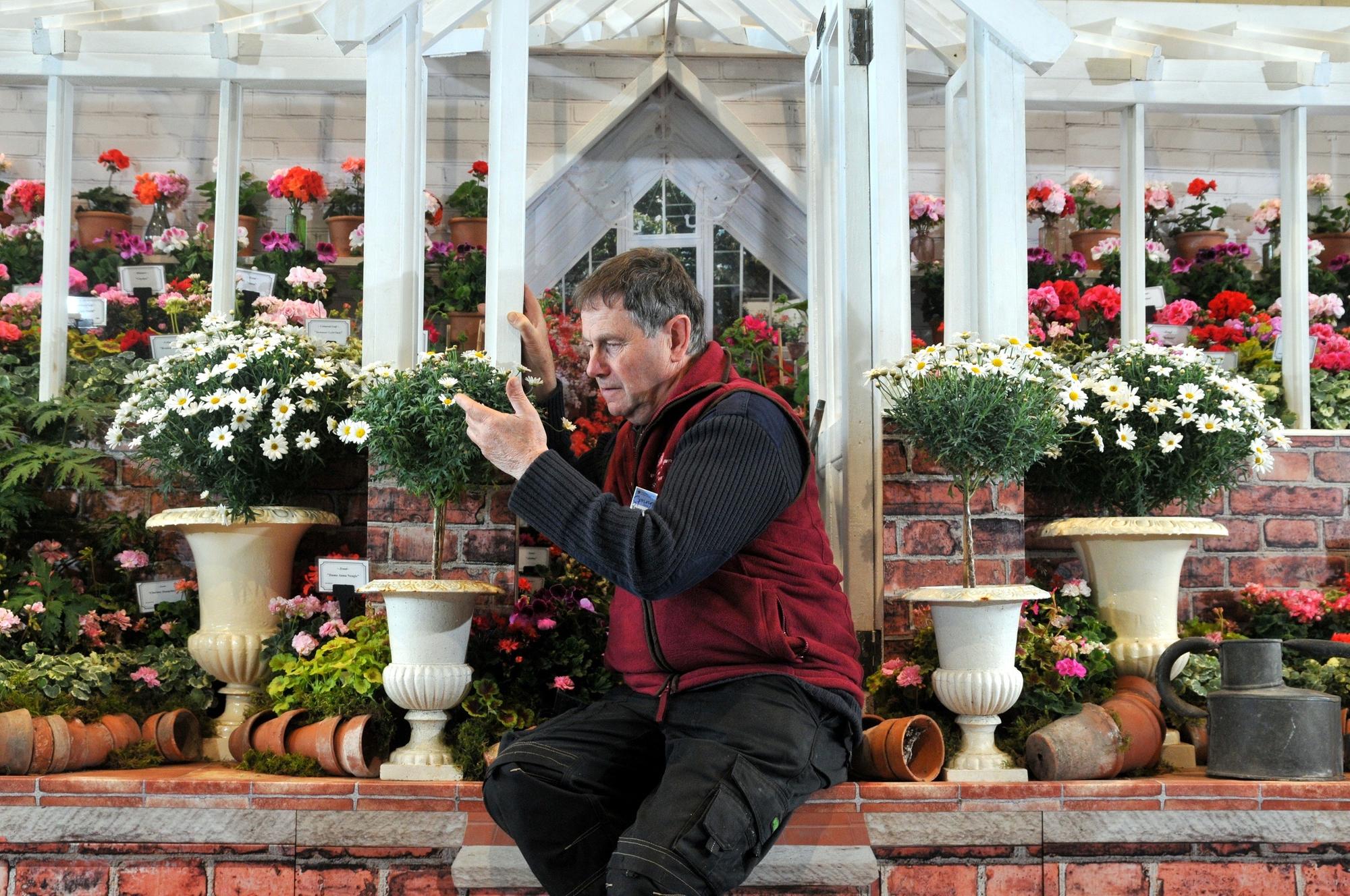 Revealed: Record-breaking number of tickets were sold for Harrogate ...