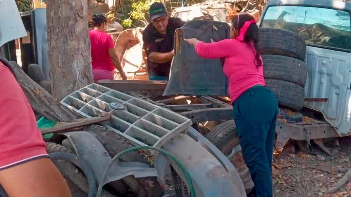 Los sinaloenses deben estar atentos para impedir se reproduzca el mosco ...