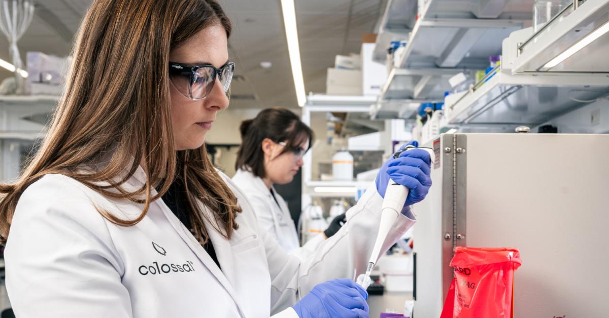 The Minds Behind the Dire Wolf: Colossal's World-Class Quest to Rewrite ...