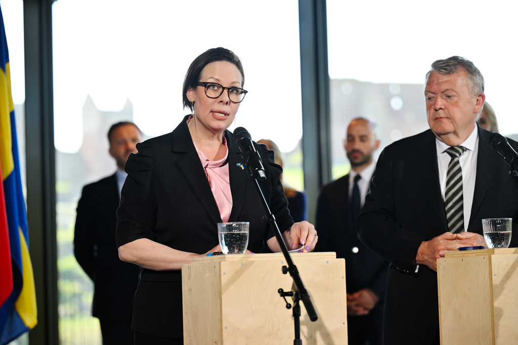 Nordisk-baltisk enighet: "Dramatiskt skede"