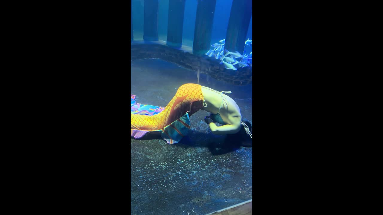 Mermaid performer almost drowns during underwater show at Chinese ocean ...