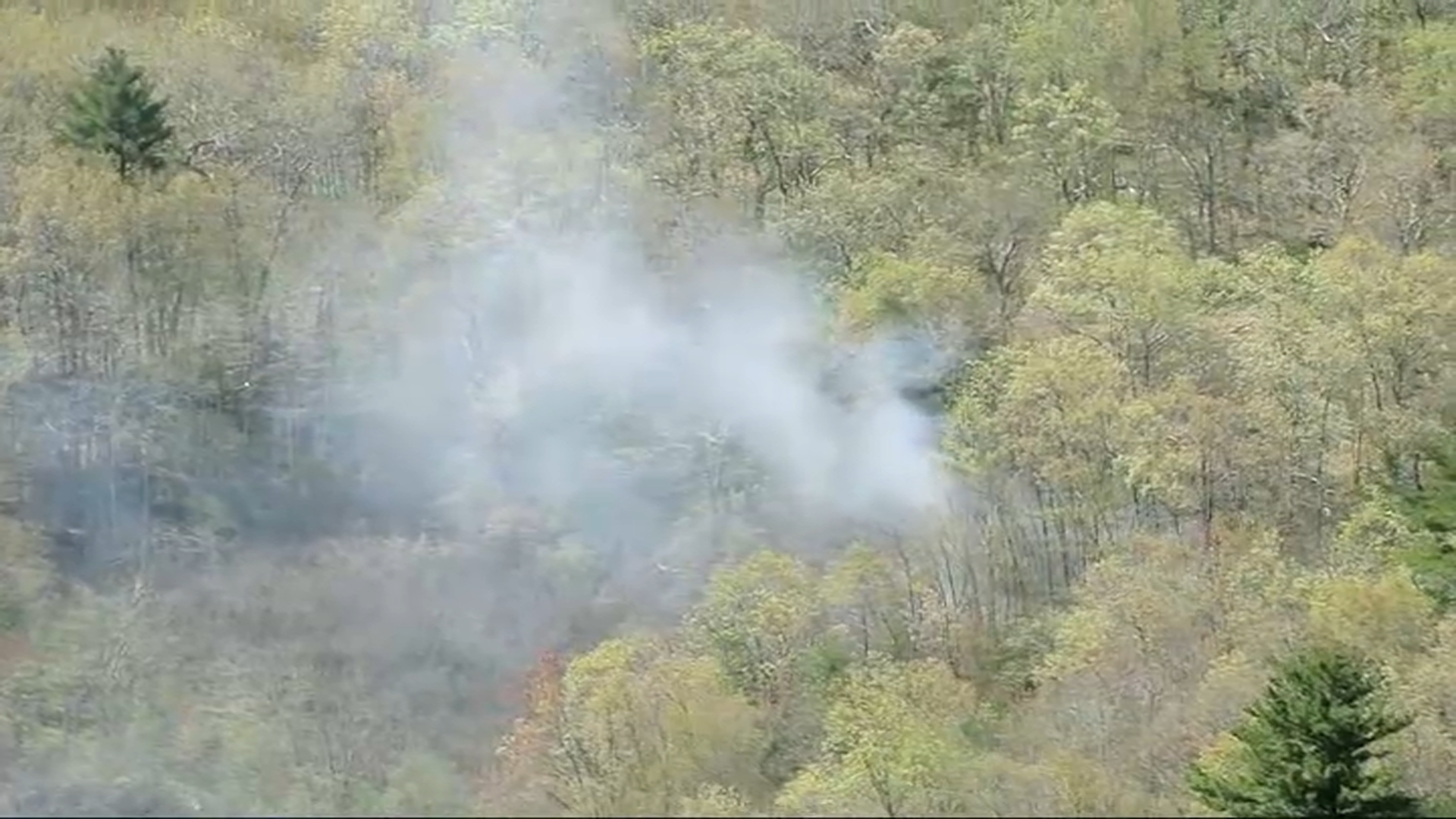 Brush fire reported in Roslindale with breezy conditions causing ...