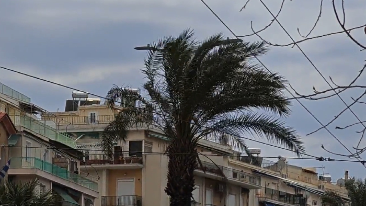 Θυελλώδεις άνεμοι και προβλήματα σε Αττική και Αιγαίο – Πτώσεις δέντρων ...