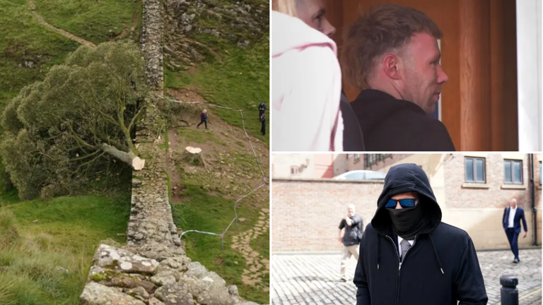 5 things we learned from the Sycamore Gap trial from texts to ‘taking a ...