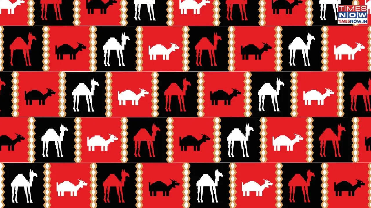 Optical Illusion Eye Test Challenge: Only 1% Can Spot The 3-Legged Camel