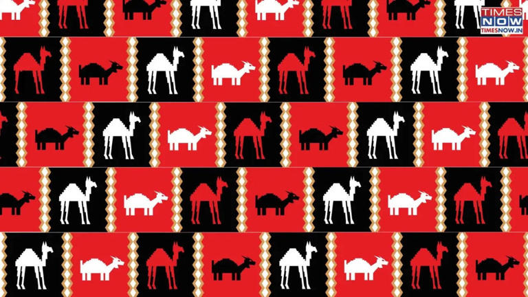 Optical Illusion Eye Test Challenge: Only 1% Can Spot The 3-Legged Camel