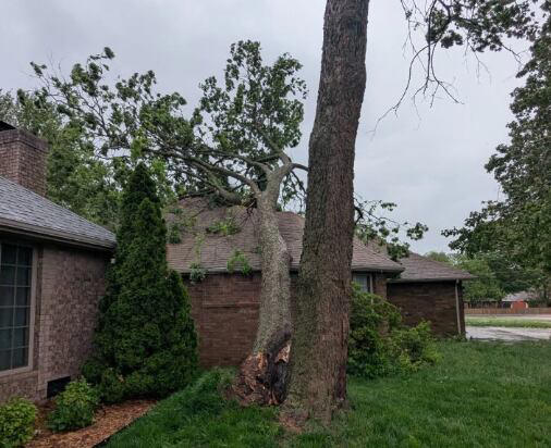 Strong storms damage homes, businesses, & trees throughout southwest ...
