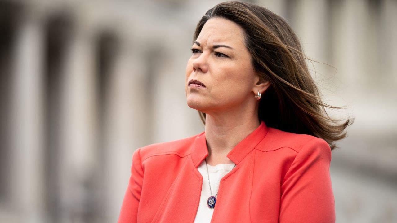 Minnesota Dem compares ICE operations to 1930s Germany, adding 'nothing ...