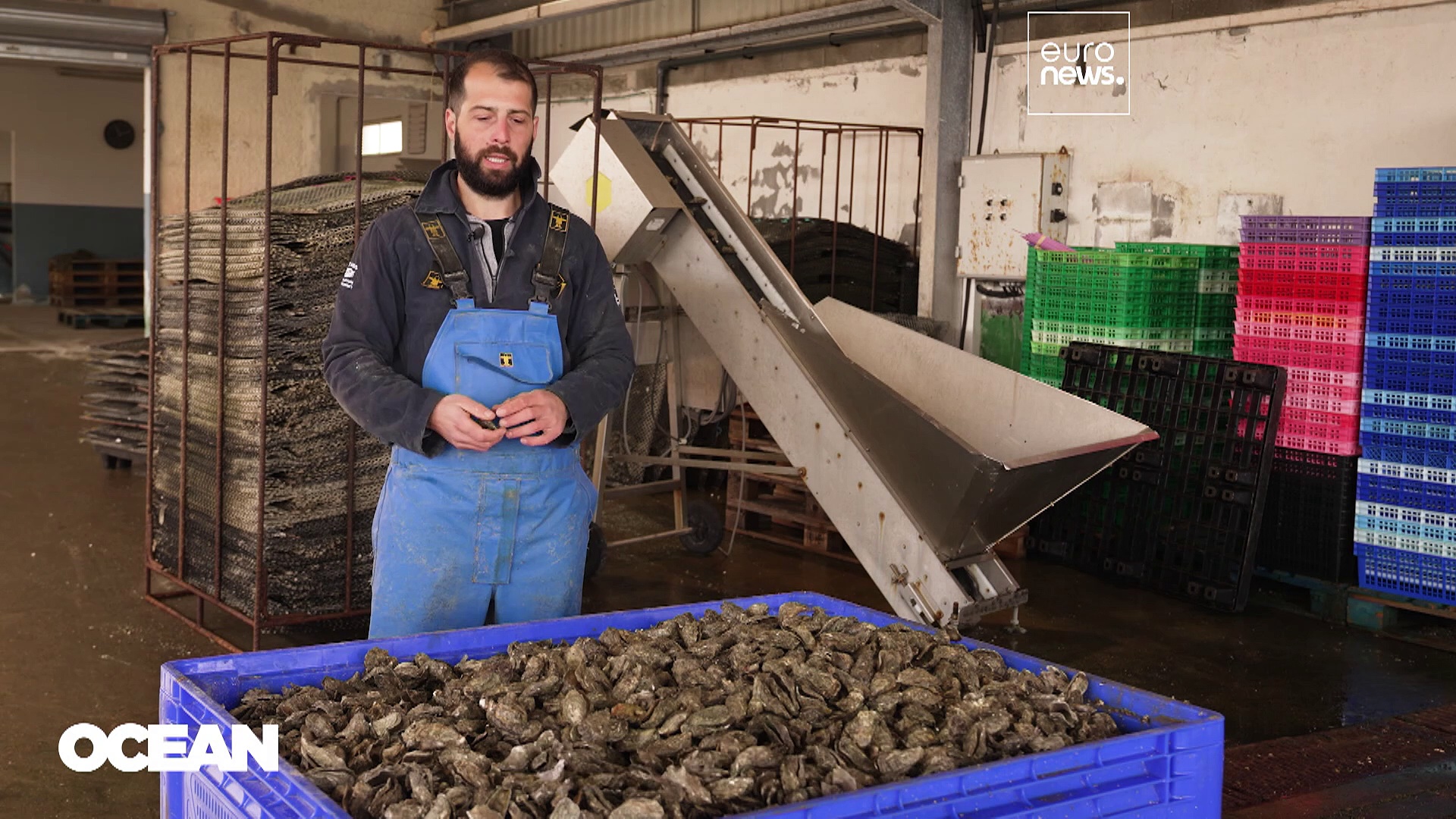 La valeur cachée des coquilles d'huîtres et des vieux filets de pêche