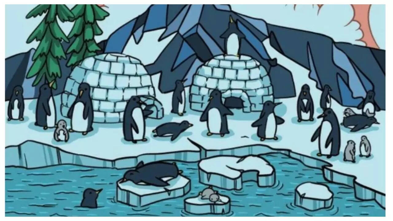 Optical illusion: You have just 6 seconds to spot a seal amidst THIS ...