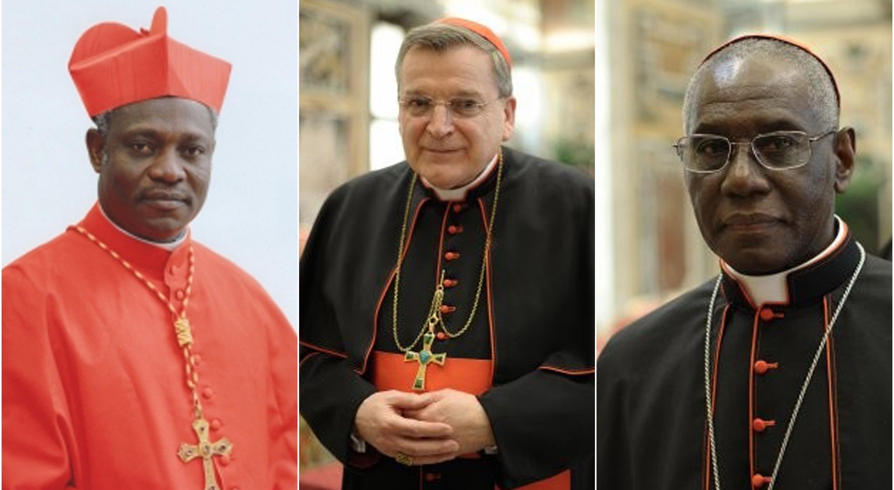 Conclave, perché i cardinali (conservatori) Burke, Sarah e Turkson «non ...