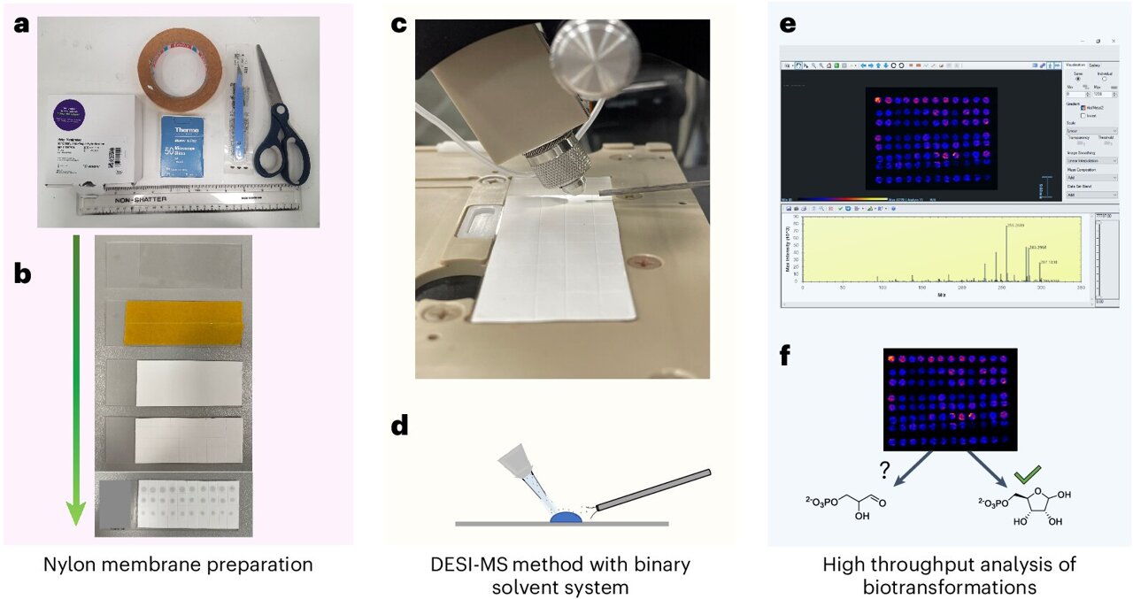 New mass-spectrometry technique boosts enzyme screening speed by up to ...