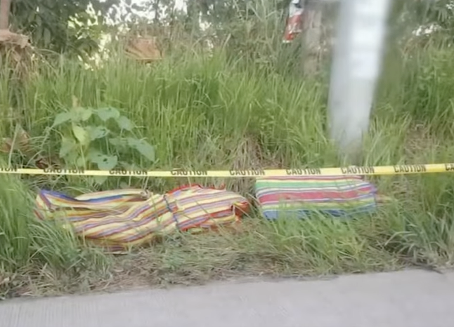 Anson Que's son ordered businessman’s kidnap-slay, suspect says