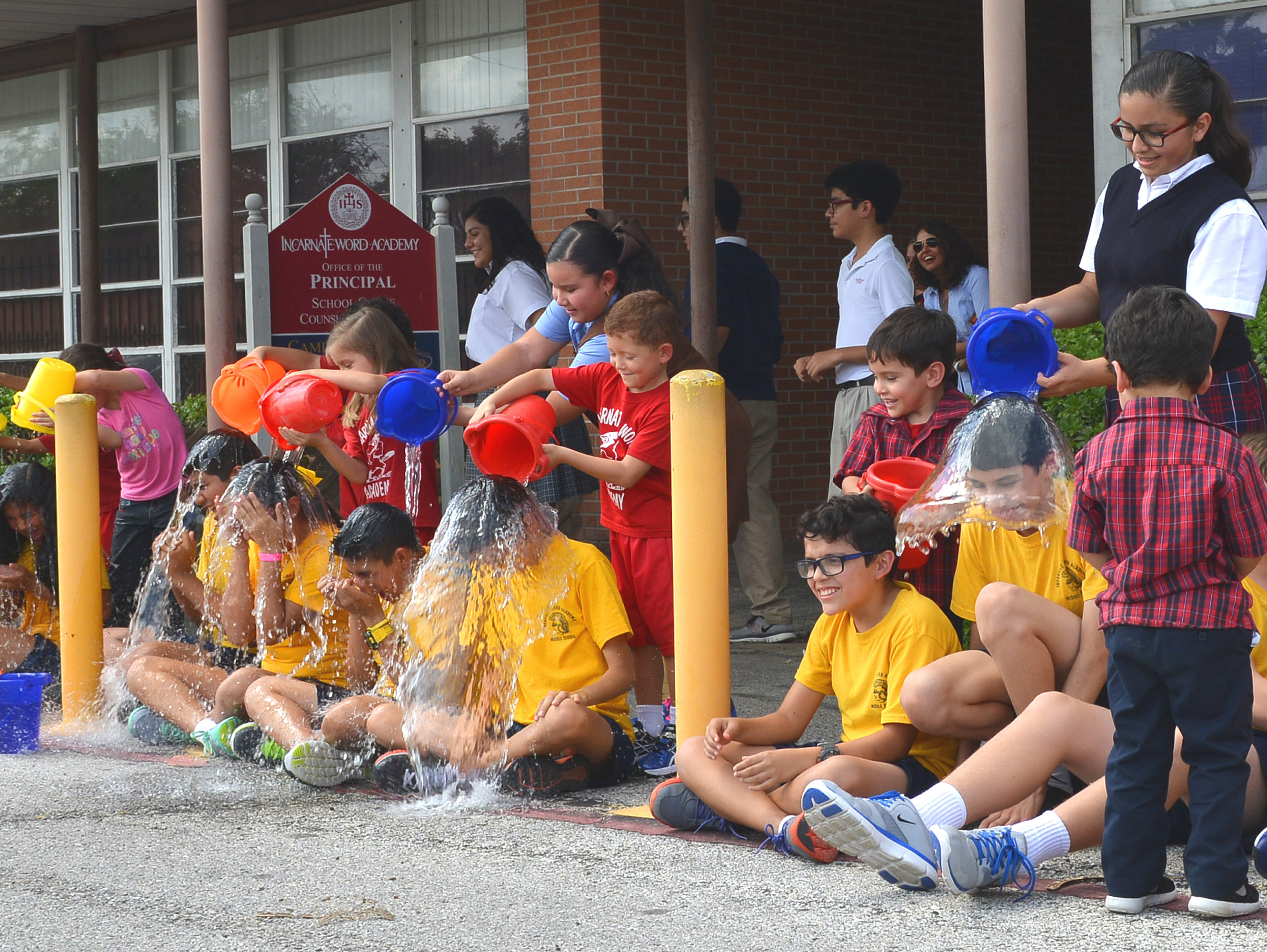 How one viral trend created the internet as we know it