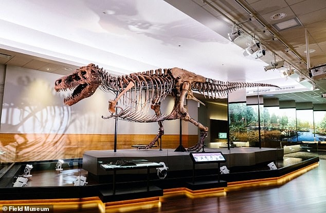 Prehistoric Luxury: Scientists Create Genuine Leather Using T. Rex DNA