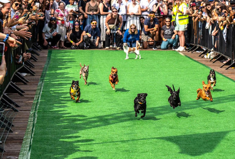 Around the World Embassy Tour, Cinco de Mayo Events, and More Things To ...