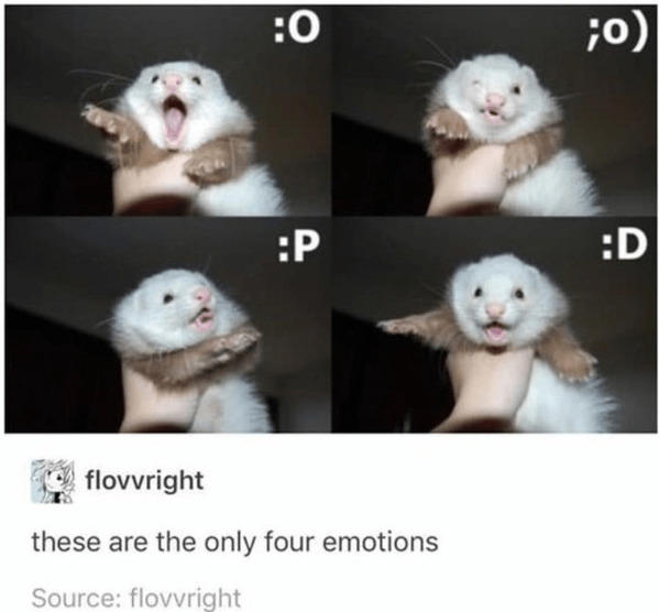 45 Wholesome Memes For A Midday Mood Boost (April 29, 2025)