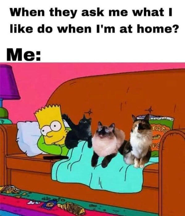 45 Wholesome Memes For A Midday Mood Boost (April 29, 2025)