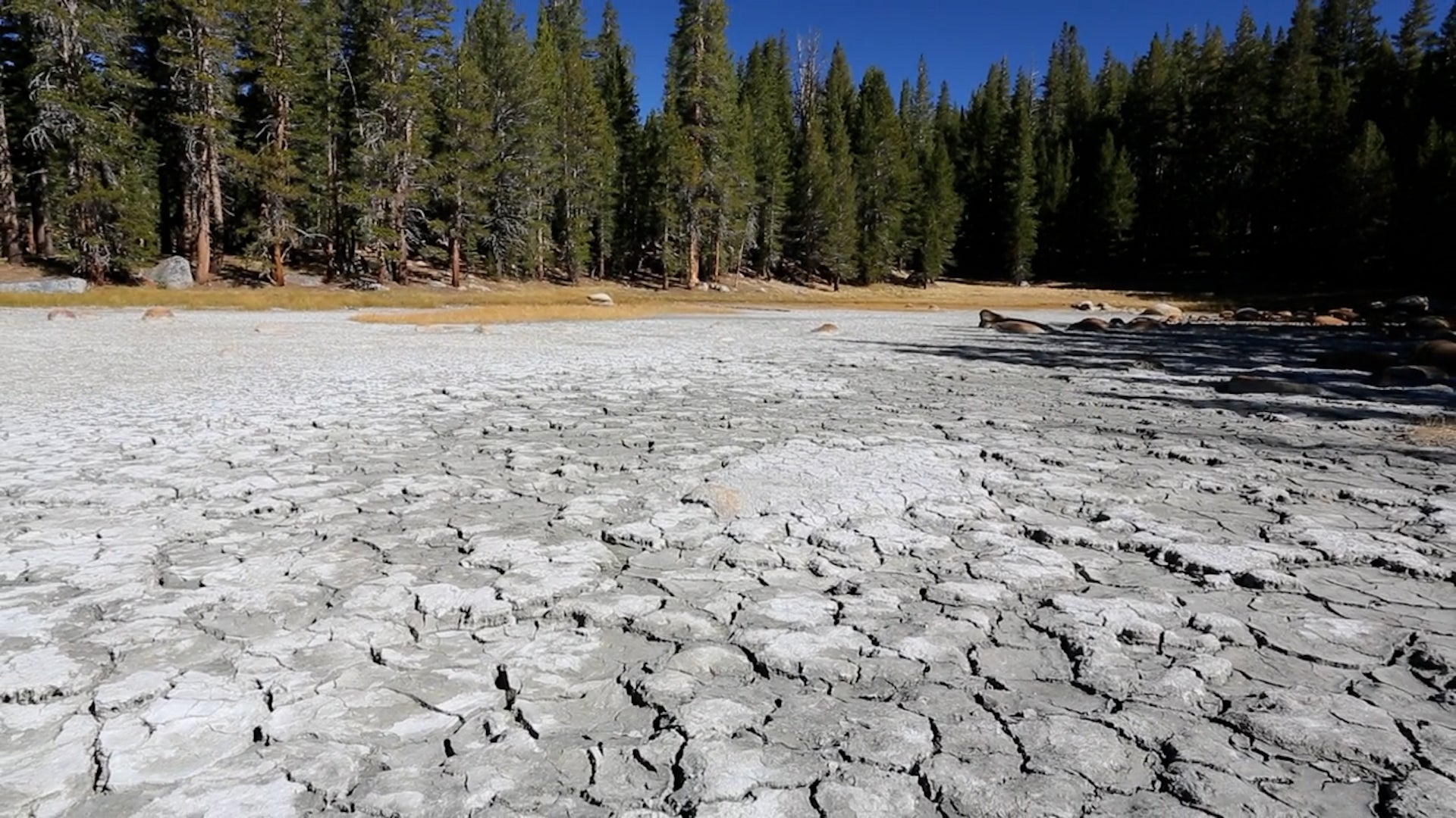 U.S. Agriculture At Serious Risk Of Aridification, Study Finds