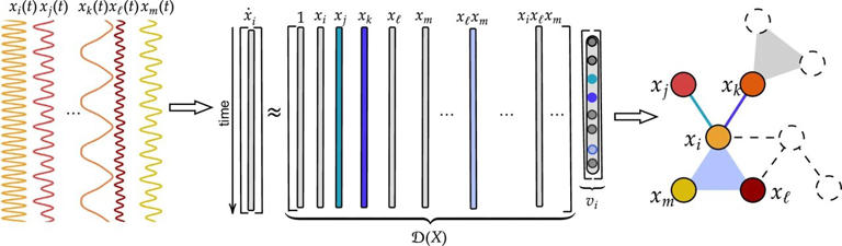 Mapping Dynamical Systems New Algorithm Infers Hypergraph Structure From Time Series Data